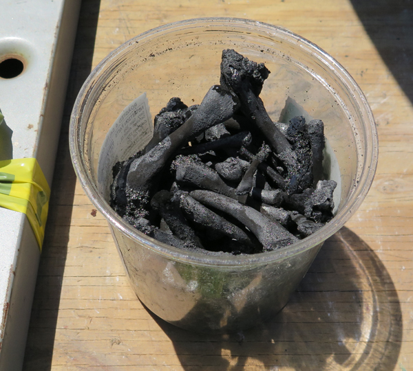 Bone Char Open Source Ecology